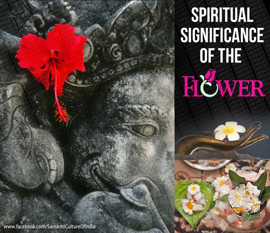What Is The Spiritual Significance Of Flowers at Ella Byatt blog