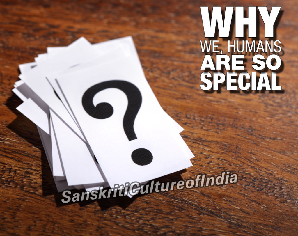 Why we, Humans, Are So Special? | Sanskriti - Hinduism and Indian ...