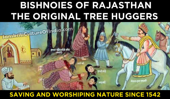 Bishnois of Rajasthan – The Original Tree Huggers | Sanskriti ...