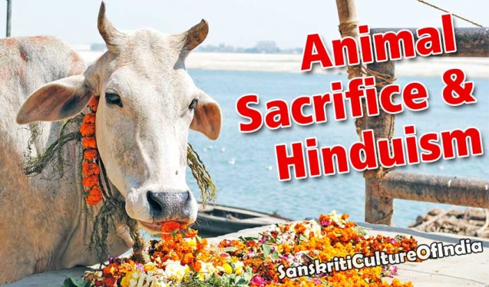 Do Hindus Practice Animal Sacrifice!? | Sanskriti - Hinduism and Indian ...