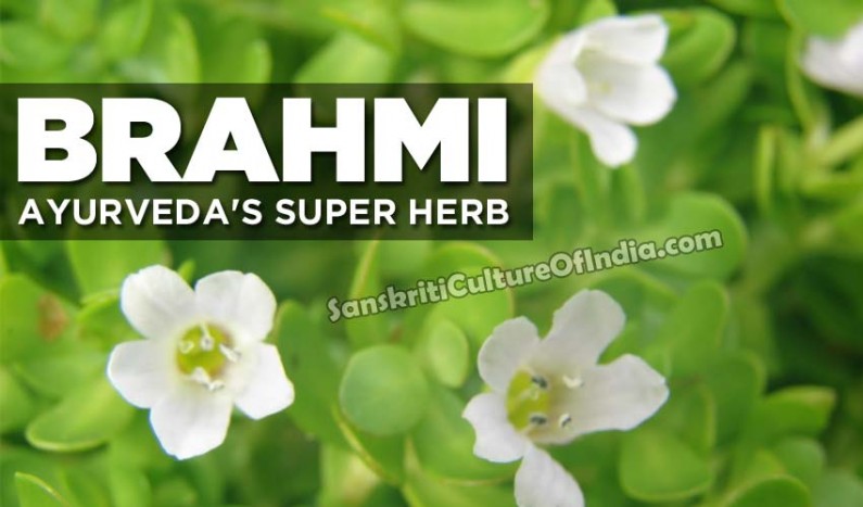 Brahmi: Ayurveda’s Super Herb | Sanskriti - Hinduism and Indian Culture ...