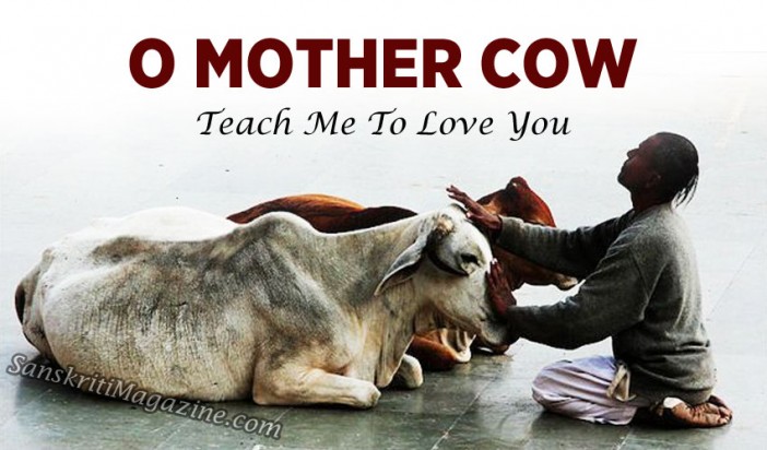 O Mother Cow, teach me to love you | Sanskriti - Hinduism and Indian ...