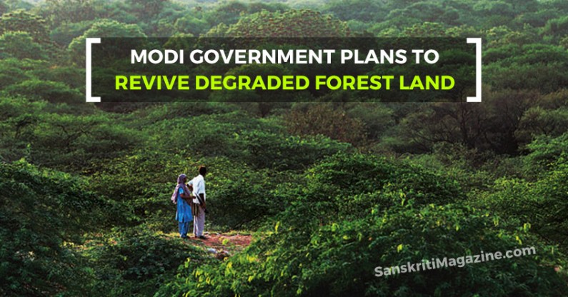 Modi Government plans to revive degraded forest land | Sanskriti ...