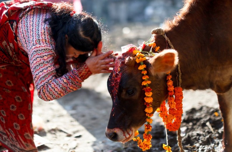 False claims of Beef in Vedas brilliantly explained by an IIT Alumni ...
