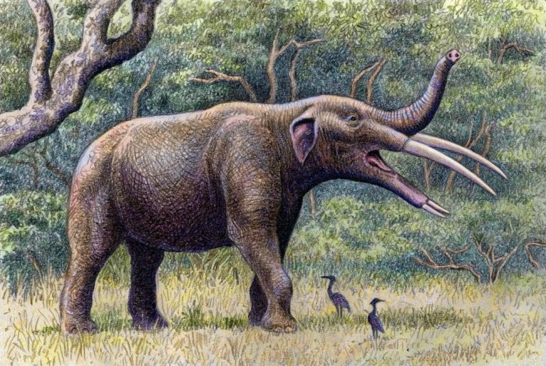 Evidence of FOUR-TUSKED elephants (Gomphotheres) as Guards of Ravan’s ...