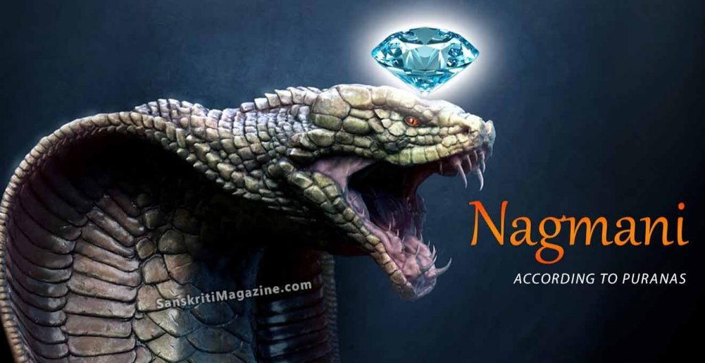 Sri Naga Mani – The Cobra Pearls according to Puranas | Sanskriti ...